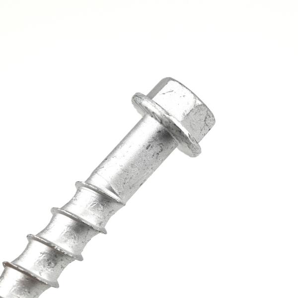 Quality Concrete Building M10 Hex Washer Head Concrete Bolts for Secure Rebar from for sale