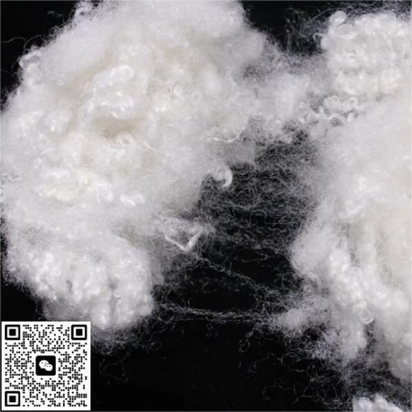 Quality 100% Virgin Polyester Fiber High Strength Conjugate Staple Fibers for sale