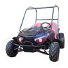 china Unleash the Power of 1200W Brushless Differential Motor Dune Buggy Go Kart Buggy