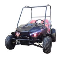 Quality Unleash the Power of 1200W Brushless Differential Motor Dune Buggy Go Kart Buggy for sale