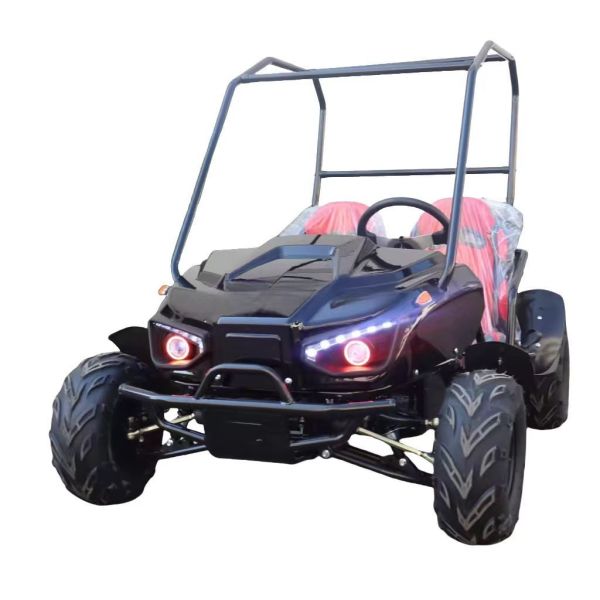 Quality Unleash the Power of 1200W Brushless Differential Motor Dune Buggy Go Kart Buggy 2 Seats for sale