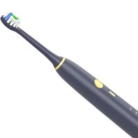 Quality H6 Plus Rechargeable  Toothbrush CE FCC ROHS FDA Certificate for sale