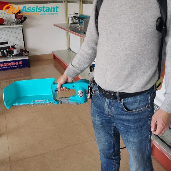 Quality 350mm Tea Plucking Machine with 5 KG Capacity and 18 Hours Working Time DELI DL for sale