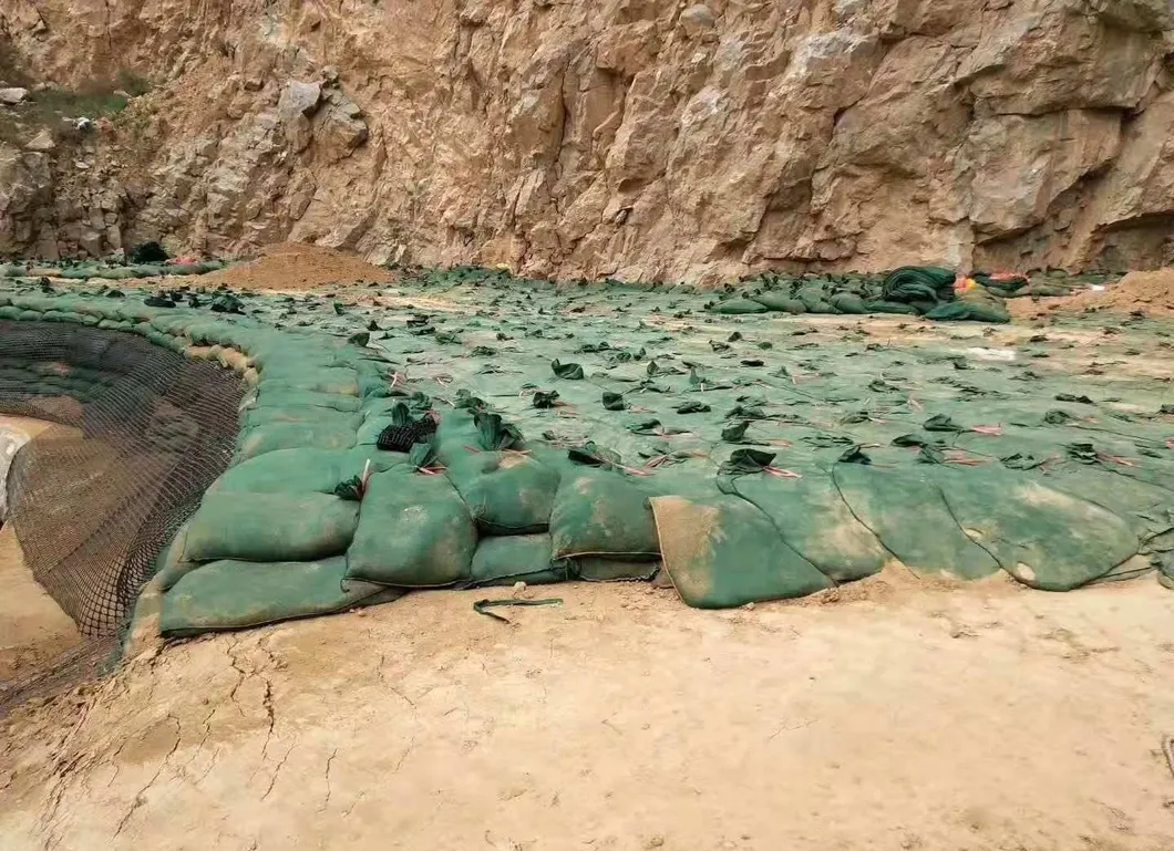Nonwoven Geobag Polyester/PP Geobag for Slope Protection and Grass Dam to Protect Ecological Environment