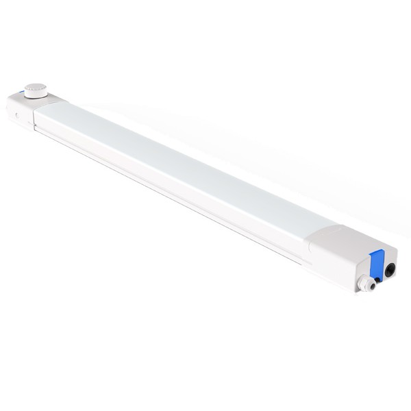 Quality D4 LED Moisture-proof Light with Ready for Emergency and Motion Sensor 3-phase for sale