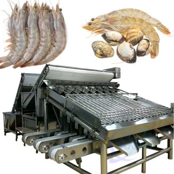 Quality Shrimp size sorting machine Fish scale cleaning and processing line production for sale