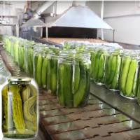 Quality High Efficiency Canned Vegetable Production Line For Cucumber for sale