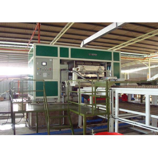 Quality Full Auto Rotary Egg Tray Machine 3000pcs per hour / Energy Recycling Egg Carton for sale