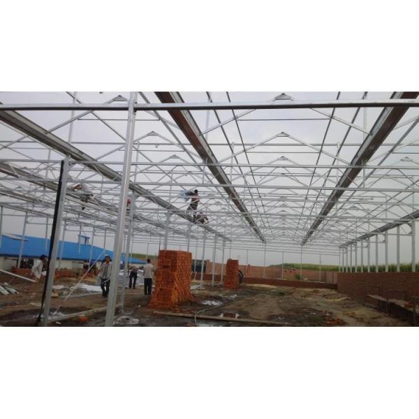 Quality High Strength Agricultural Poly Tunnel Green House/Tomato Greenhouse for sale