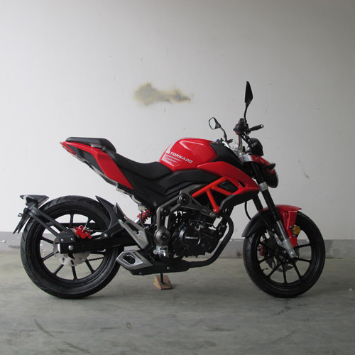Quality TR250-U3 CDI Ignition 250CC Naked Sport Motorcycle for sale