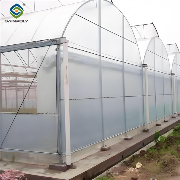 Quality 4m Height Steel Structure Greenhouse Gothic Type Easy Installation for sale