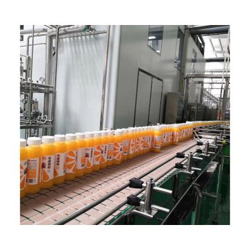Quality Automatic Complete Small Scale Mini Mango Orange Juicer Fruit Juice factory for sale