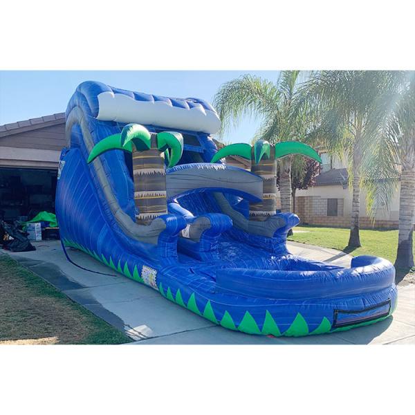 Quality Tropical Palm Tree Commercial Grade Inflatable Water Slide For Kids And Adults for sale