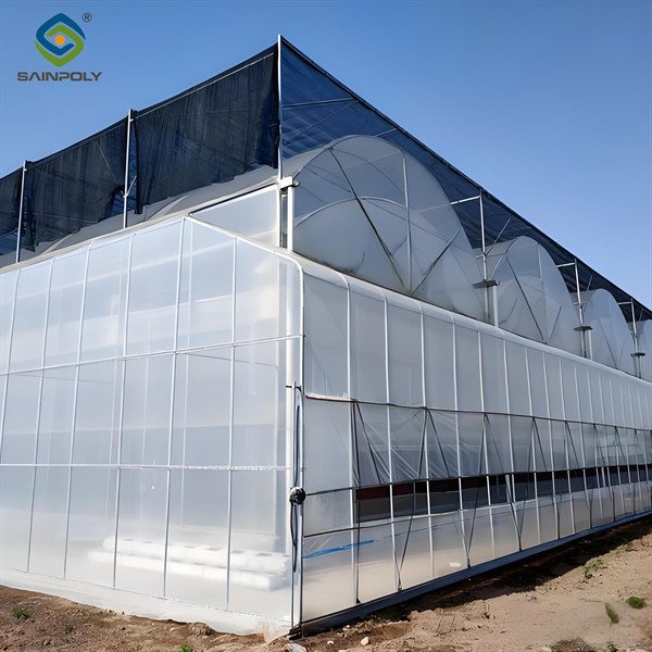 Quality Economical Commercial NFT Hydroponic Greenhouse Plastic Film Greenhouse for sale