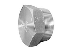 Quality 2000# 3000# High Pressure Pipe Fittings High Pressure Plug With Threaded for sale