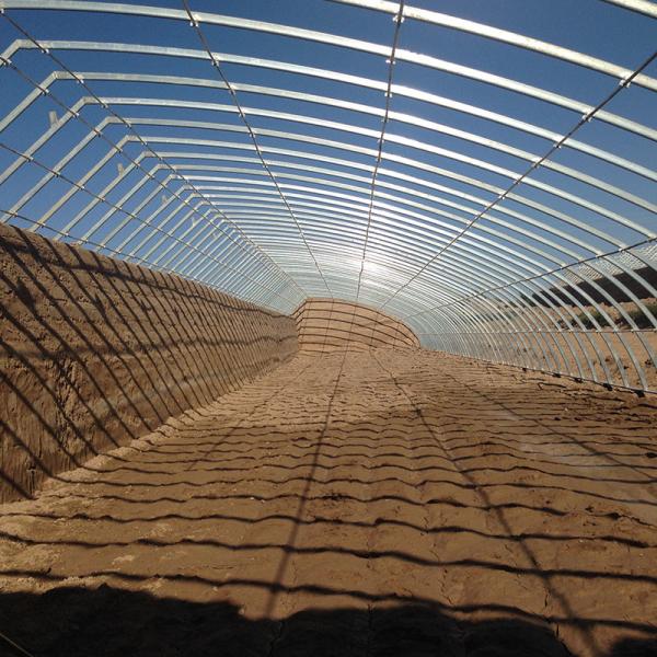 Quality Vegetable Fruits Flowers Winter Sunlight Solar Greenhouse Chinese Style for sale
