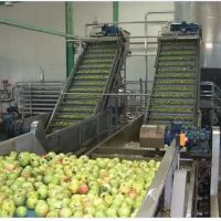 Quality Natural Flavor Mango Processing Line 63% Brix for sale