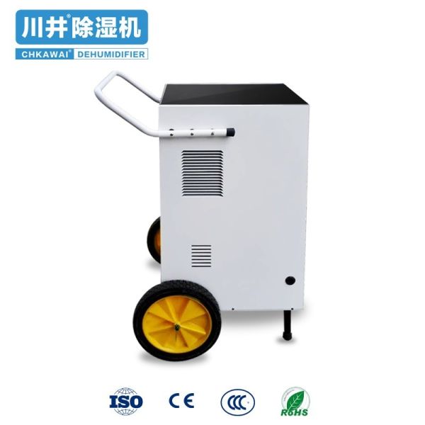 Quality Compressor Technology Moisture Absorber Dehumidifier DH-801B with Hot Stamping for sale
