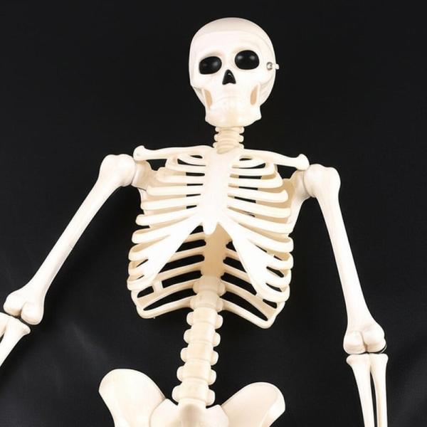 Quality Custom Plastic Scary Decorations Props Halloween Skeleton Decoration For Haunted for sale