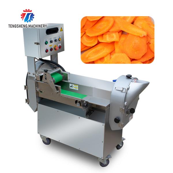 Quality Tengsheng Infeed Chute Fruit Processing Machine Cucumber Lime Fracturing Avoidance for sale