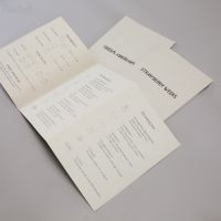 Quality Printing Folded Custom Mini Booklet Products Guidelines Print Instruction for sale