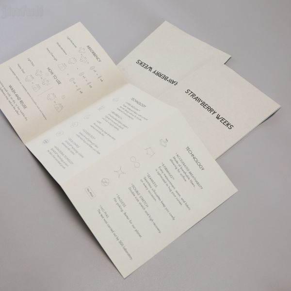 Quality Printing Folded Custom Mini Booklet Products Guidelines Print Instruction Booklet for sale