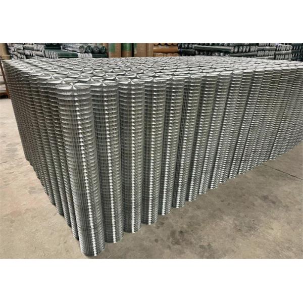 Quality 10m-30m Length Galvanized Welded Wire Mesh Rolls 1/2 Inch Hardware Cloth for sale