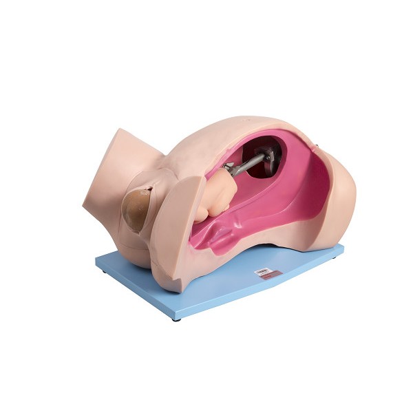 Quality Manual childbirth simulation automatic birthing system / Emergency Simulation for sale