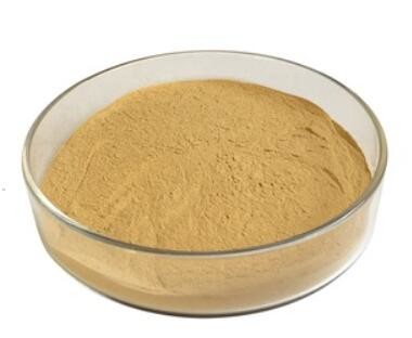 Quality CAS 37248-47-8  Technical Pesticides A 64% TC  Validamycin For Plants for sale
