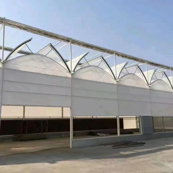 Quality Modern Sunlight Glass Greenhouse with Automatic Irrigation System for sale