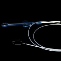 China Medical Polypectomy Snare Instrument Using High Frequency Electric Current factory