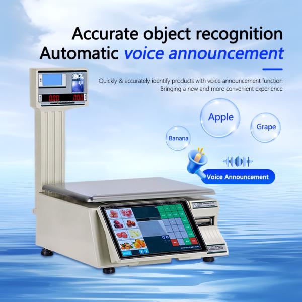 Quality Maximum Range 30kg Intelligent Bar Code Table Scale SHW-TMF6 with 10/7 Inch for sale