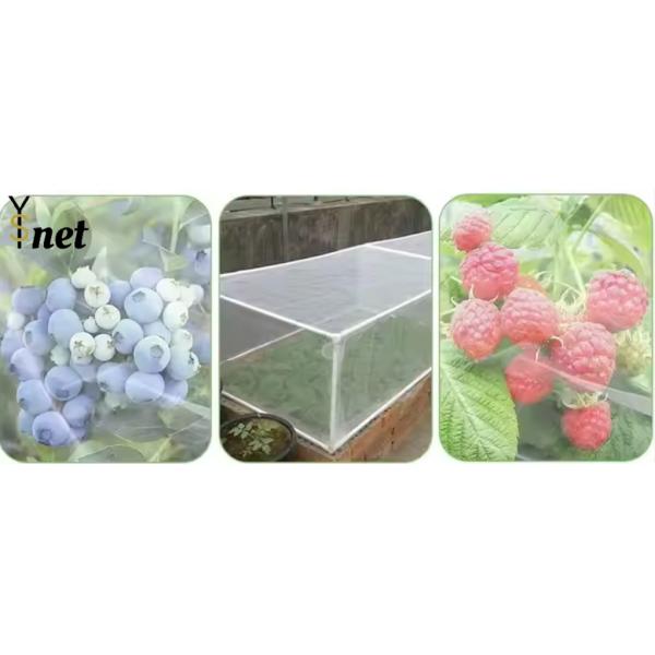 Quality Insect Proof Nylon Garden Netting Customized Bird Netting For Vegetable Garden for sale