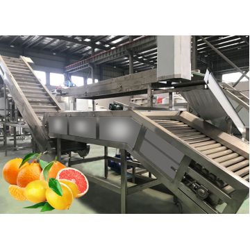 Quality Industrial Citrus Processing Line Orange Lemon Processing Unit 1 Year Warranty for sale