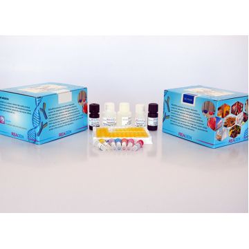 Quality High Recovery Vitamin B9 Test Kit For Food Feed Total Folic Acid Detection for sale