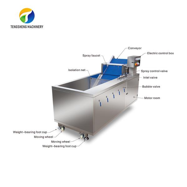 Quality 2.6KW Impurity Filter Fruit And Vegetable Washing Machine Citrus Apple for sale