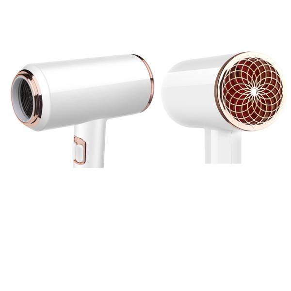 Quality High Concentration Negative Ions Hair Dryer for Static Electricity Neutralizatio for sale