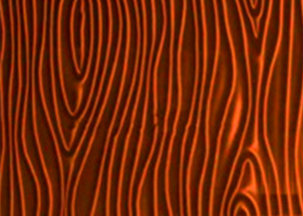 Quality 4-12MM Printed Laminated Glass Backsplash 300X300MM for sale