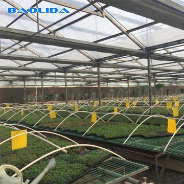 Quality Commercial Seedbed Wire Rolling Greenhouse Benches For Flowers for sale
