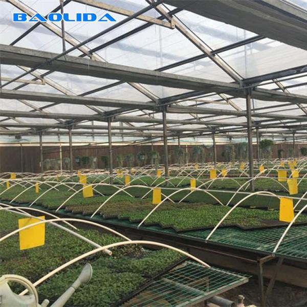 Quality Commercial Seedbed Wire Rolling Greenhouse Benches For Flowers for sale