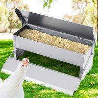 Quality Automatic Lid 5kg 8.2L Feed Timer Chicken Feeder for sale