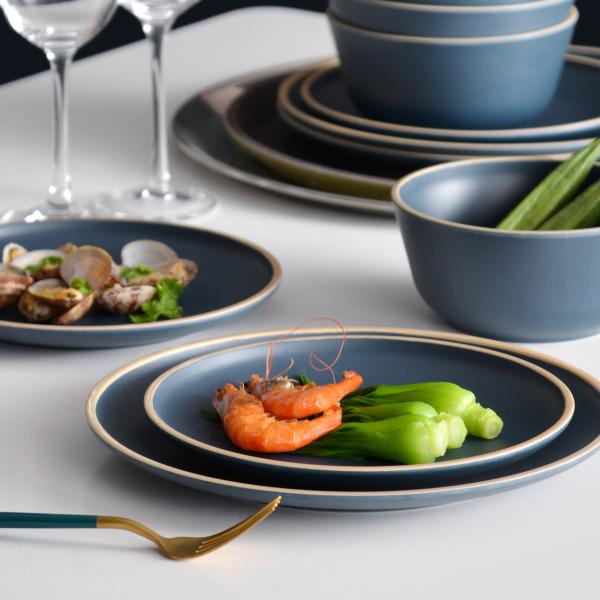 Quality 12 Piece Nautical Plastic Melamine Dinnerware Sets Modern Style Non Breakable for sale