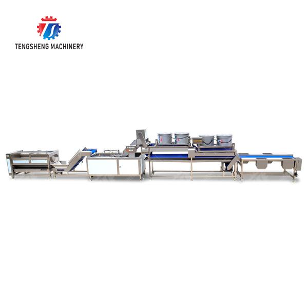 Quality Enhance Your Production with Our State-of-the-Art Fruit And Vegetable Processing for sale
