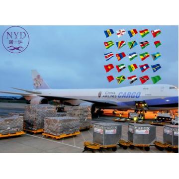 Worldwide Logistics Warehousing Services DDU International Cargo Transportation
