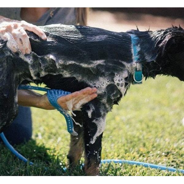 Quality Sustainable Glove Puppy Grooming Kit OEM Home Dog Grooming Kit for sale