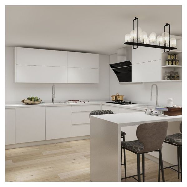 Quality Customized White Matte Kitchen Cabinets with Spice Basket and Quartz Stone Countertop for sale