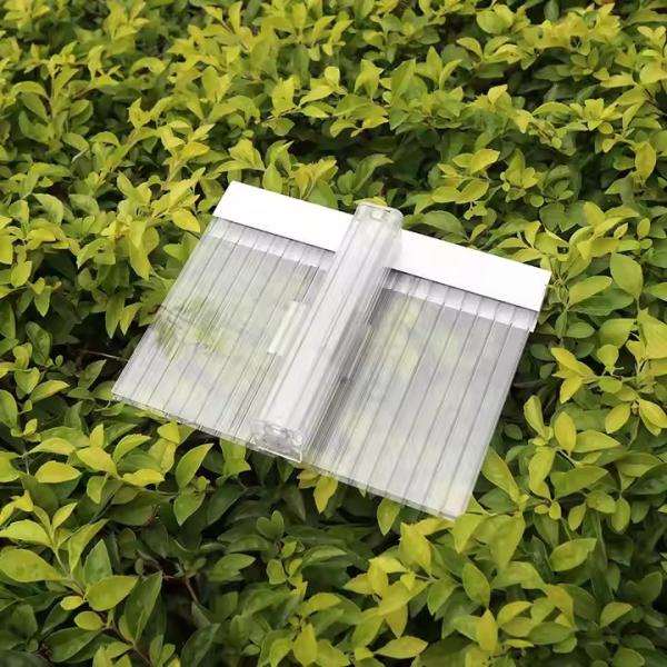 Quality Customized Length And 500-1050 Mm Width Danpalon UV Blocking Multicell for sale