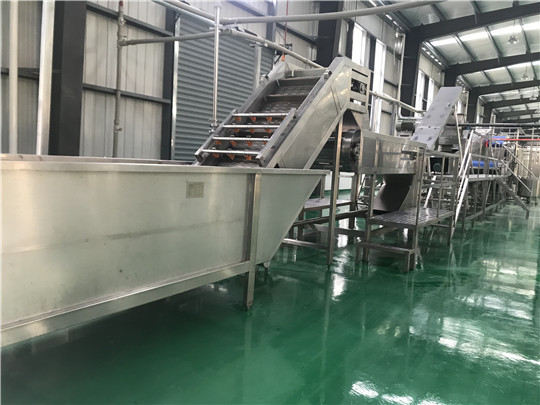 Quality 15T/Day SS304 Concentrated Pineapple Juice Production Line for sale