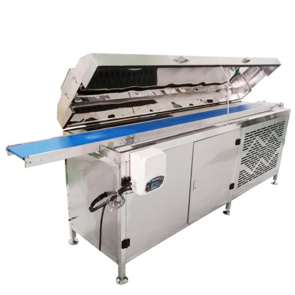 Quality CE Certificated Copeland Industrial Chocolate Cooling Tunnel Optional Food for sale
