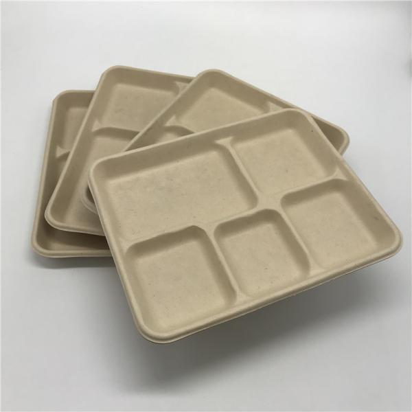 Quality Harmless Compostable Party Tableware Sugarcane Bagasse Disposable Christmas Tray for sale